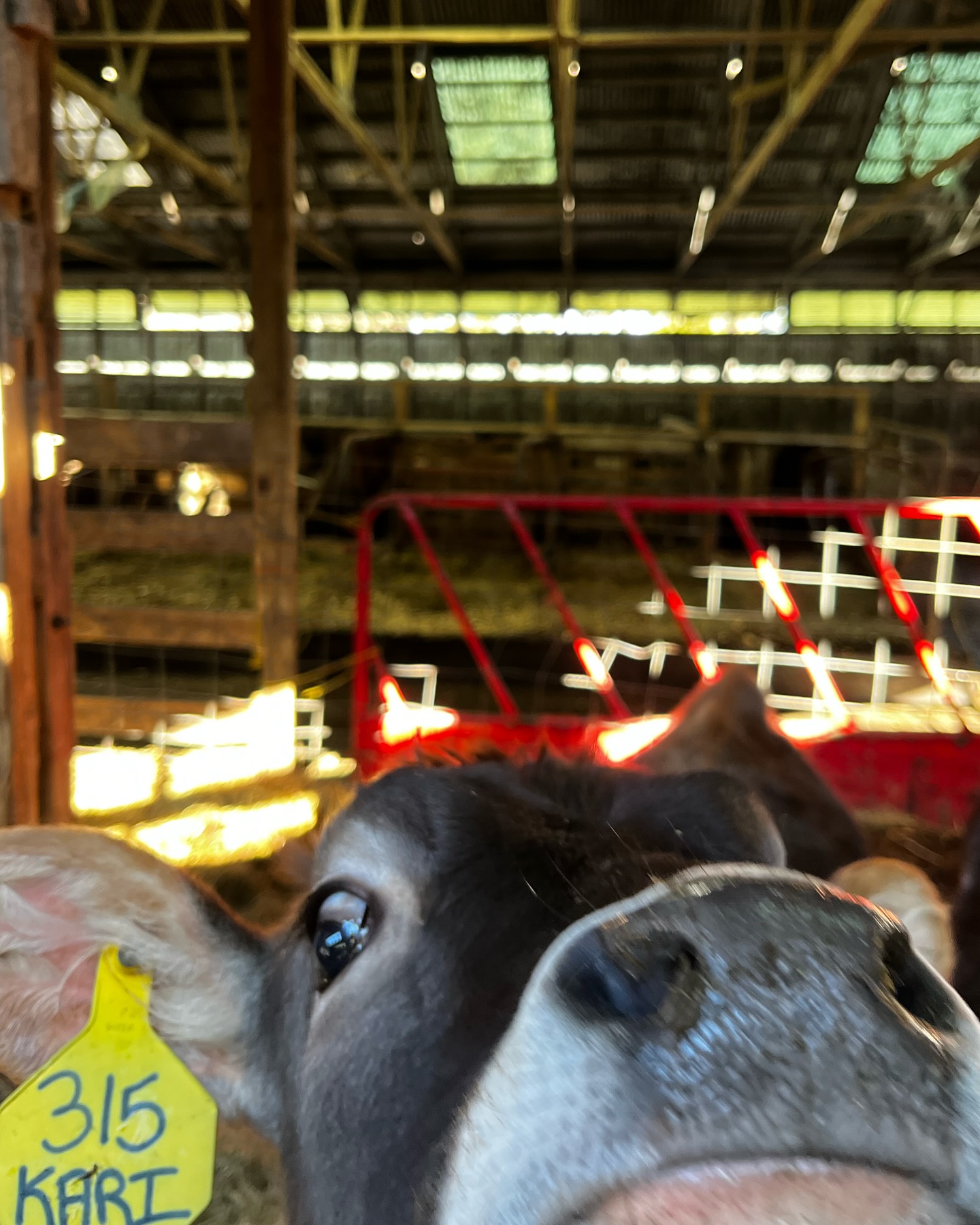 Farm Photos – Cricket Creek Farm