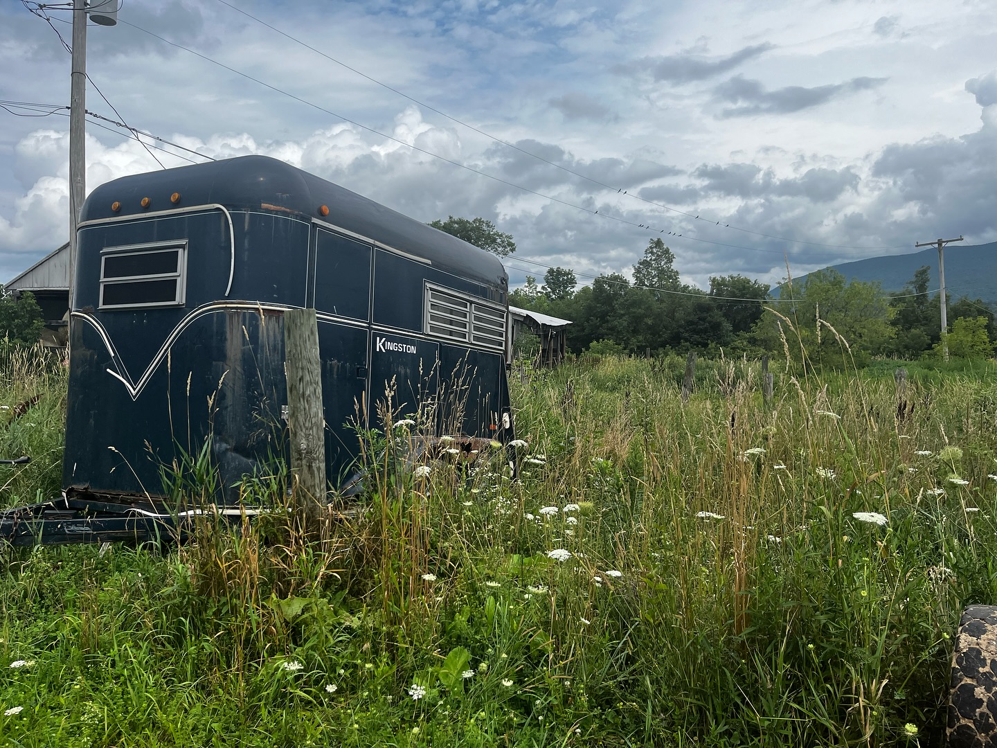 Farm Photos – Cricket Creek Farm