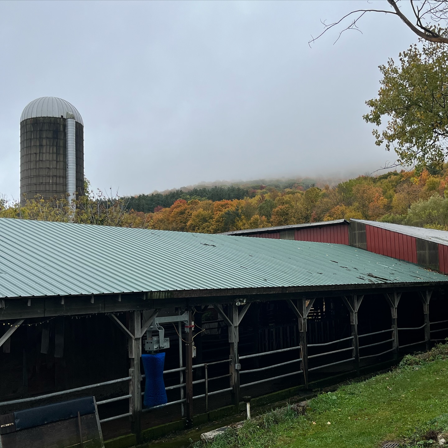Farm Photos – Cricket Creek Farm