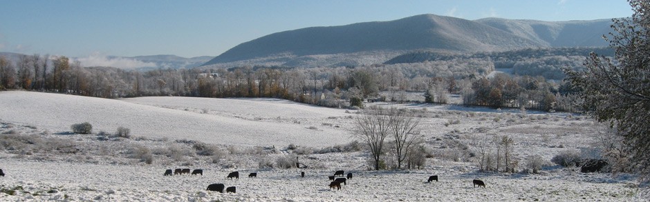 Cricket Creek Farm – Cricket Creek Farm