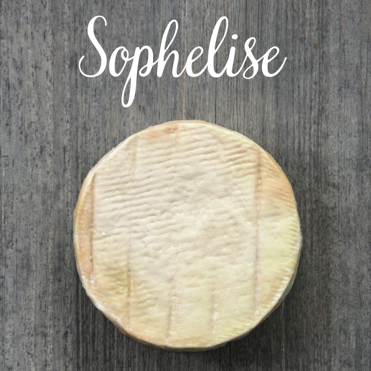 Artisanal Farmstead Cheese – Cricket Creek Farm